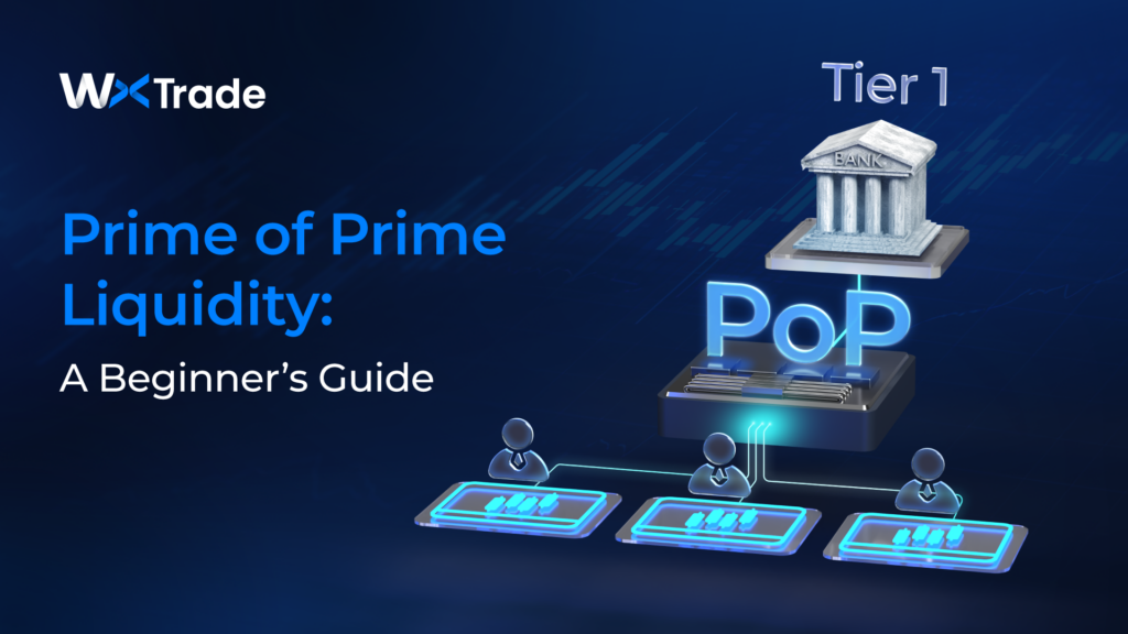 Prime of Prime Liquidity: A Beginner's Guide for Brokers